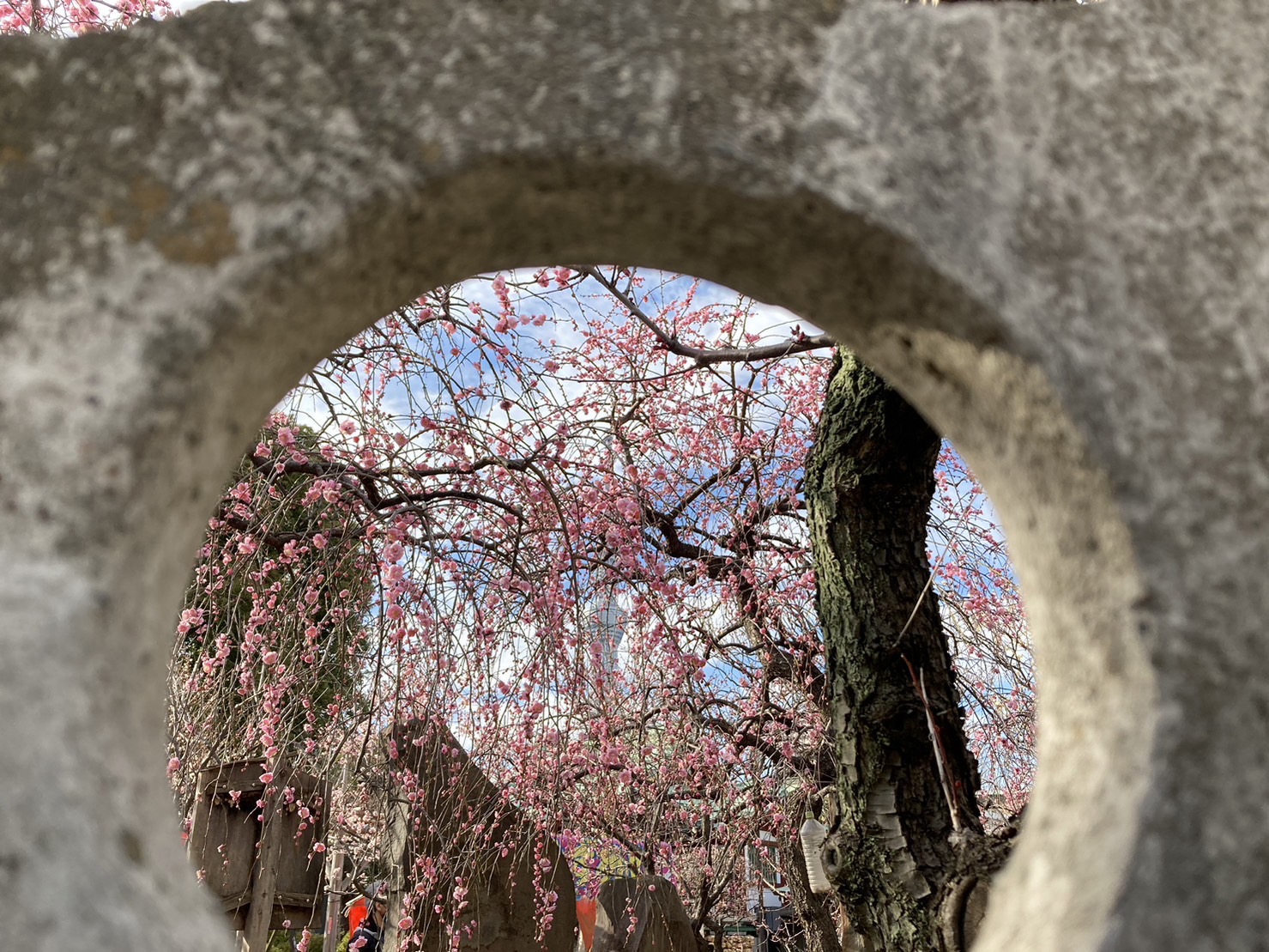 IMG_8532 | BOXOUT101.